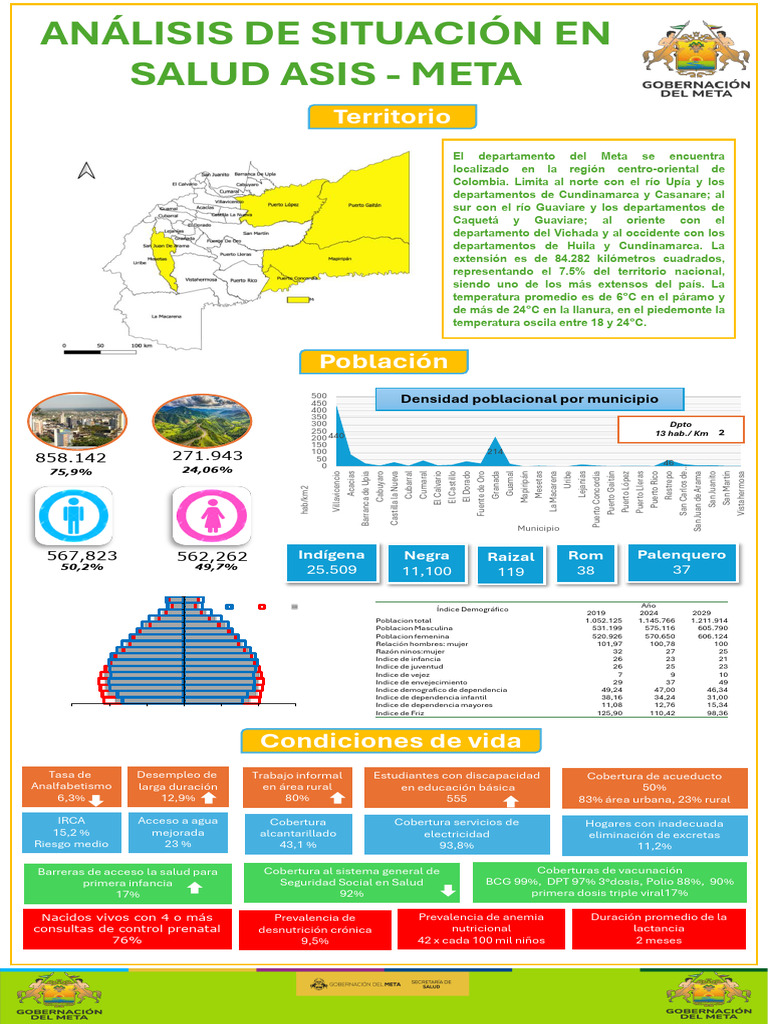INFOGRAFIA META 2024 | PDF