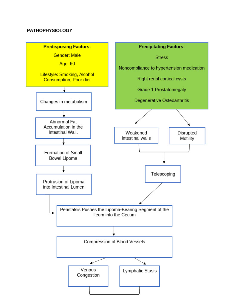 Pathophysiology Bowel Obstruction Final | PDF | Medical Specialties ...