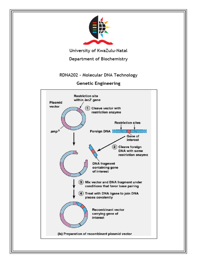 Genetic Engineering notes (1) | PDF | Molecular Cloning | Restriction ...
