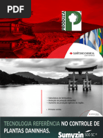 Herbicida Agricola ZethaMaxx Bula | PDF | Agricultura | Voo