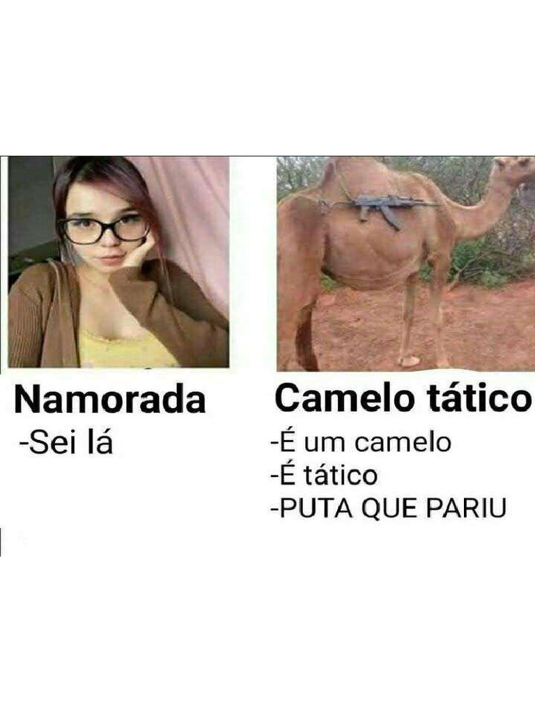 Camelo Tático. | PDF