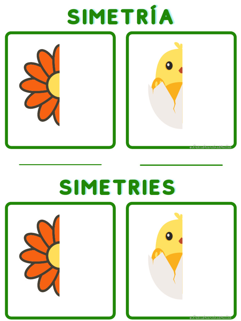Conceptos de Simetría y Simetrías | PDF