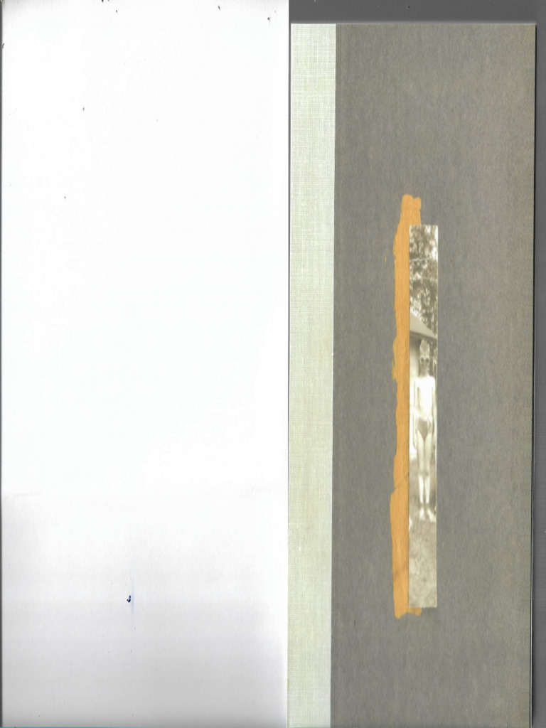 Nox - Anne Carson | PDF