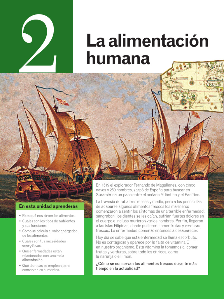 TEMA%2010%20LA%20ALIMENTACI%C3%93N%20HUMANA%20Y%20H%C3%81BITOS%20DE%20VIDA%20SALUDABLE | PDF ...