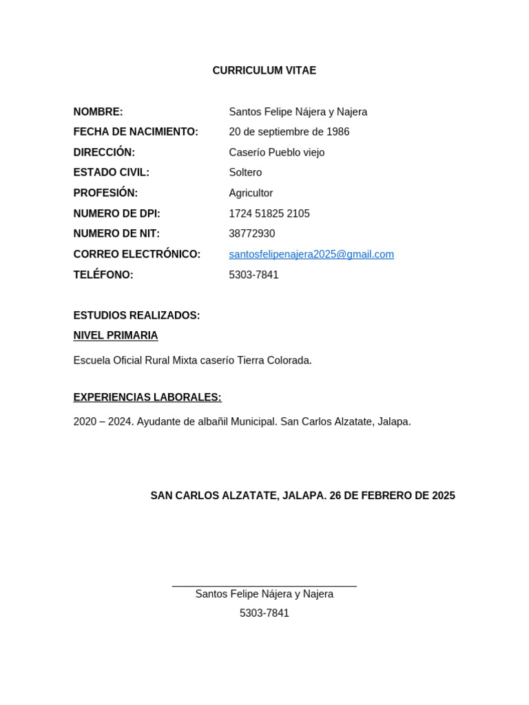 Curriculum Vitae Selvin | PDF