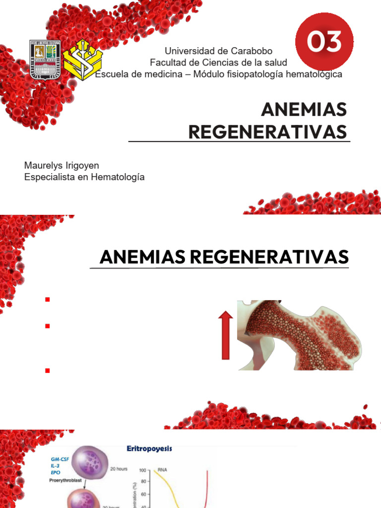 Anemias Regenerativas (Nuevo) | PDF | Glóbulo rojo | Anemia