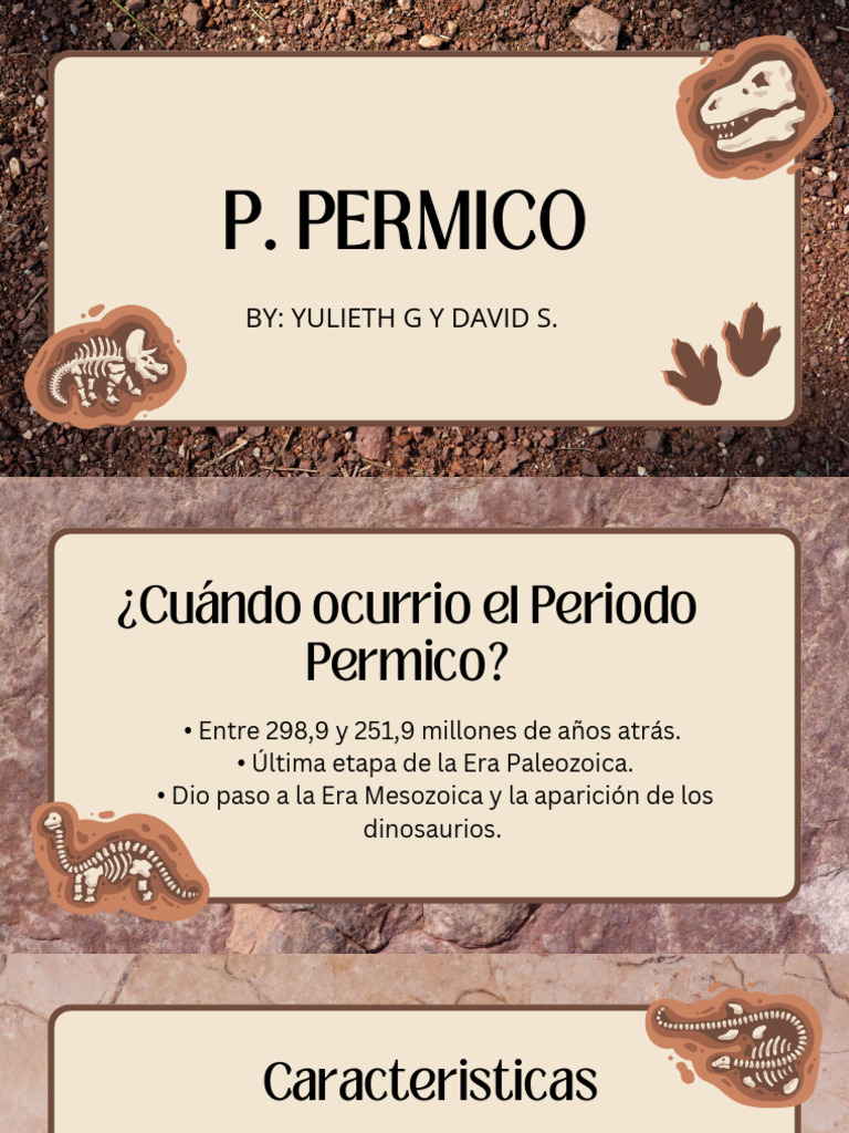 Brown Cream Fossils Vocabulary Science Presentation | PDF