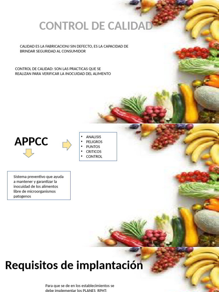 Control de Calidad | PDF