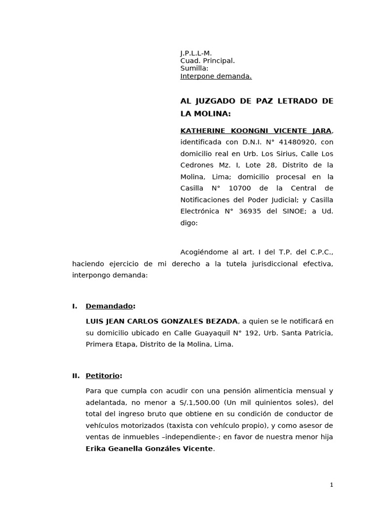 01 Demanda - Alimentos | PDF | Pensión alimenticia | Justicia