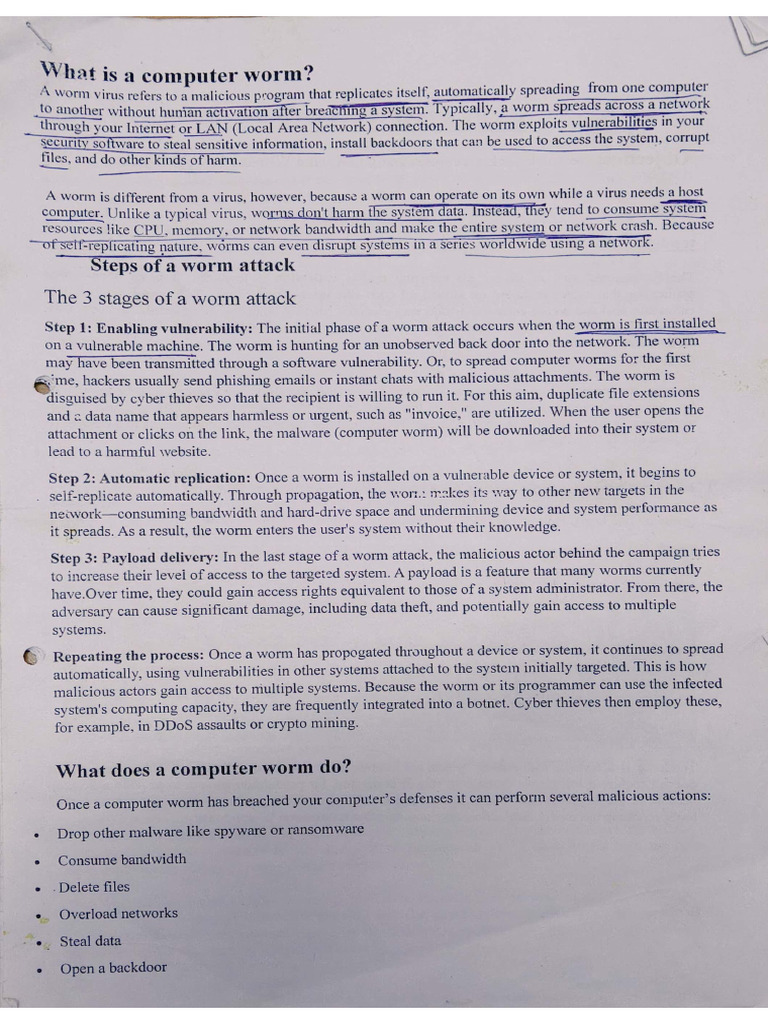 Worms | PDF