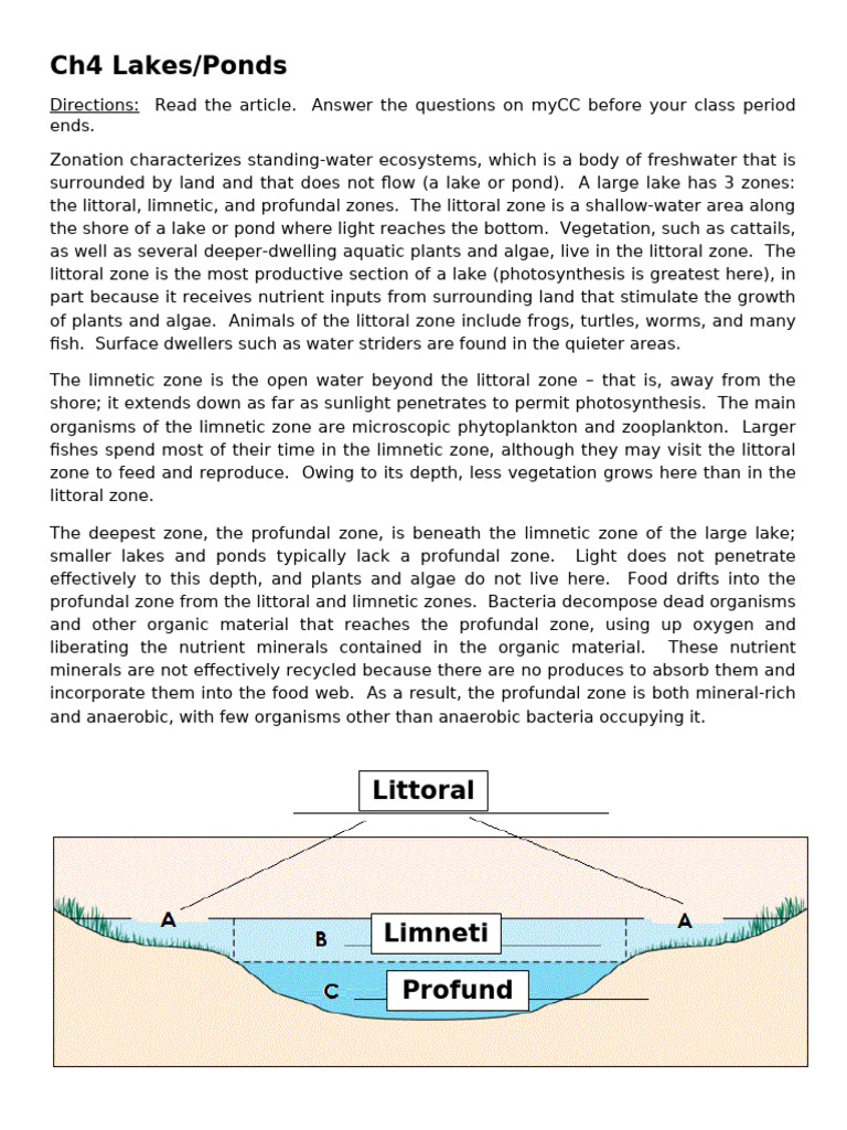 Lake Zonation: Zones Explained | PDF
