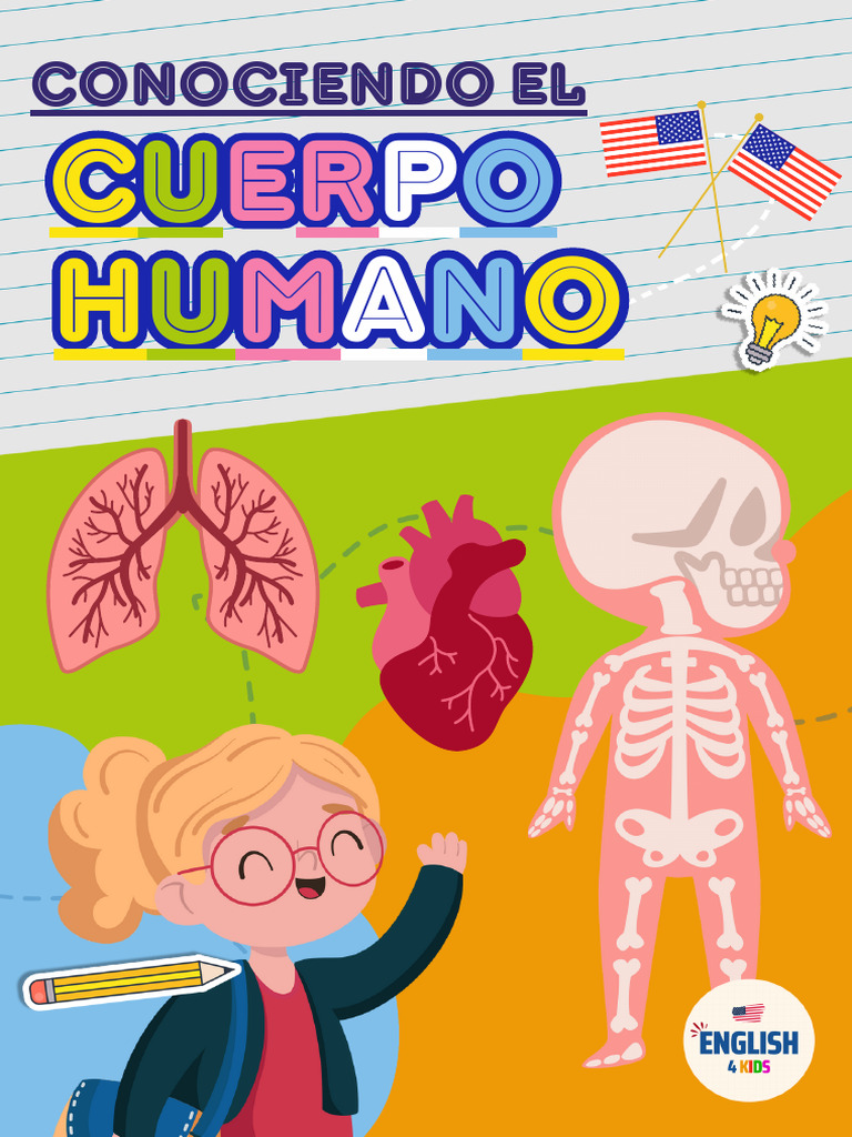 4 Conociendo El Cuerpo Humano en Inglés | PDF | Anatomía de los ...