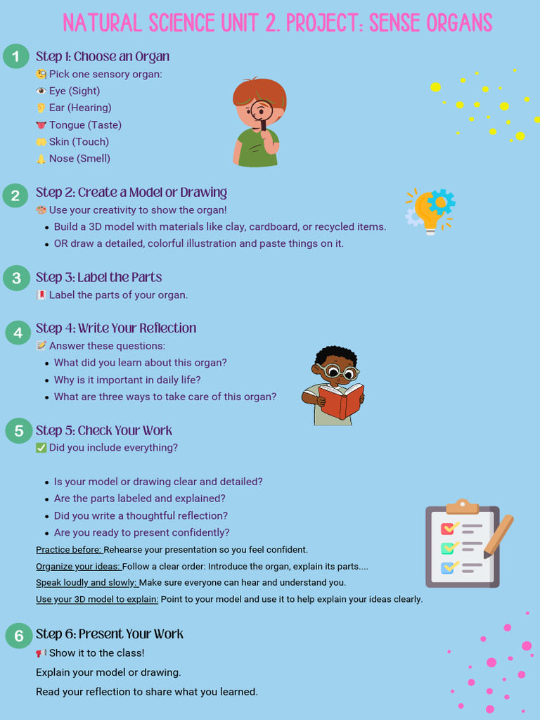 Sense Organs Project Guide | PDF