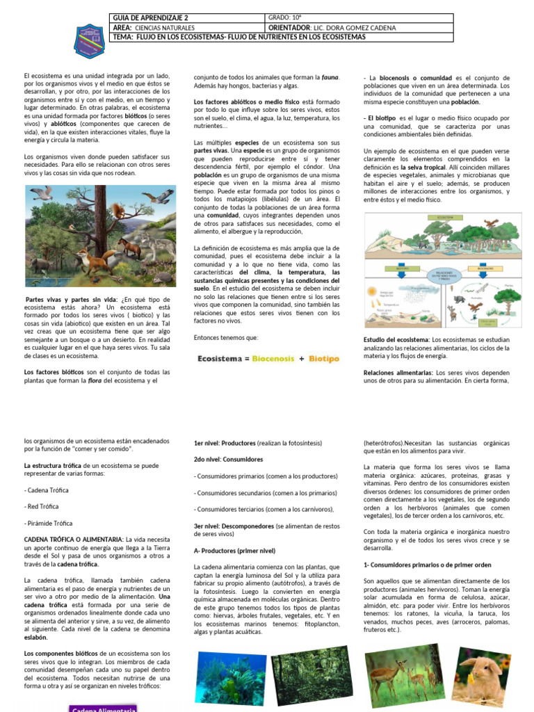 Guia Ecosistemas | PDF | Red alimentaria | Ecosistema