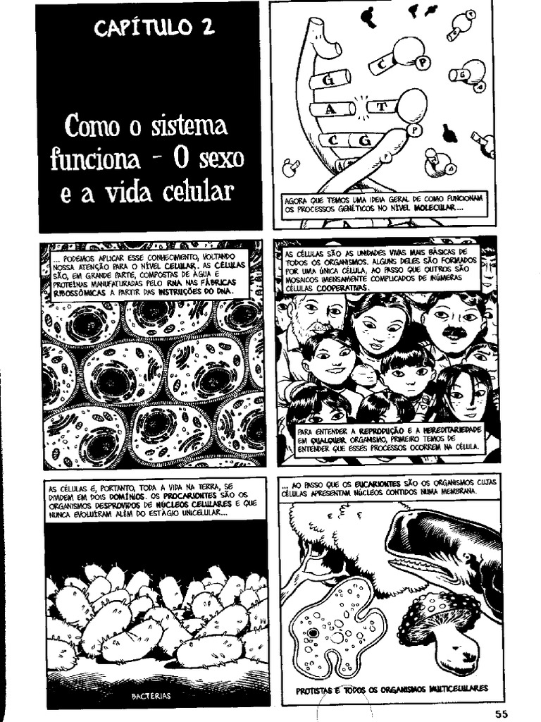 Geneticas em Quadrinhos Cap2 | PDF