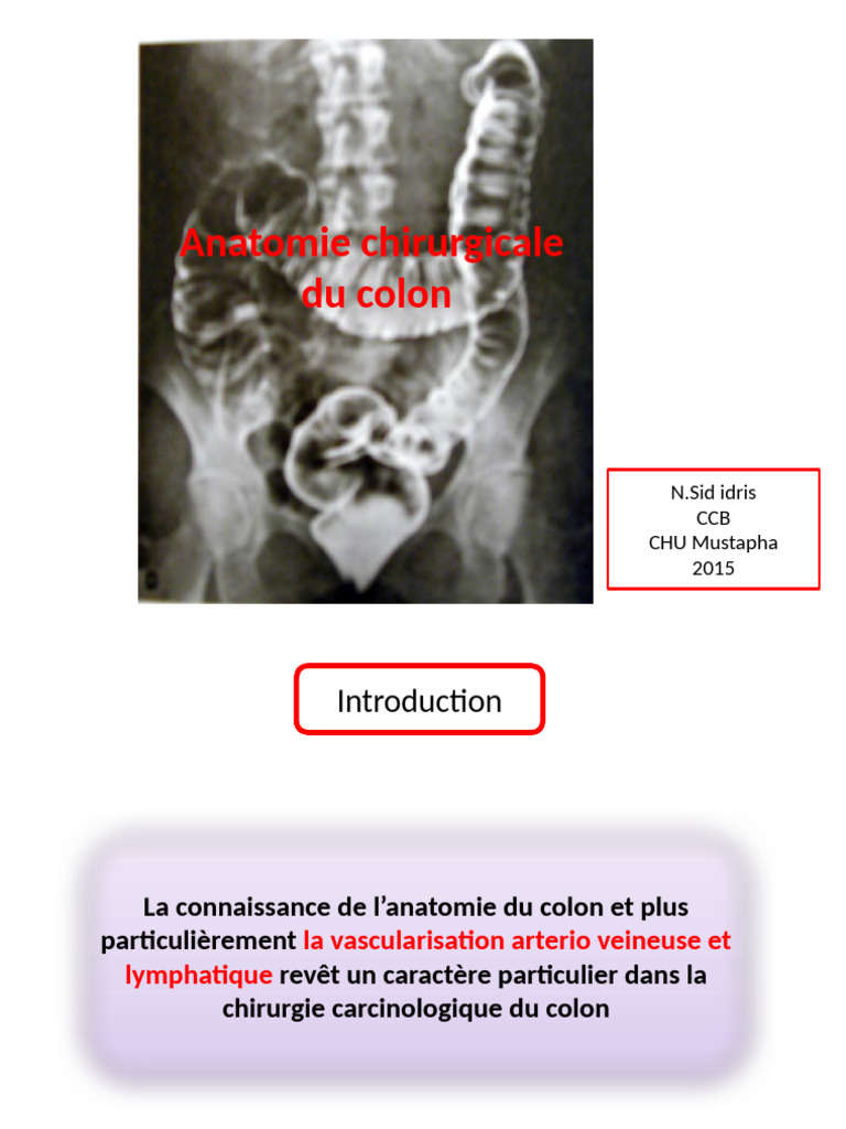Anatomie Chirurgicale Du Colon | PDF | Gros intestin | Anatomie