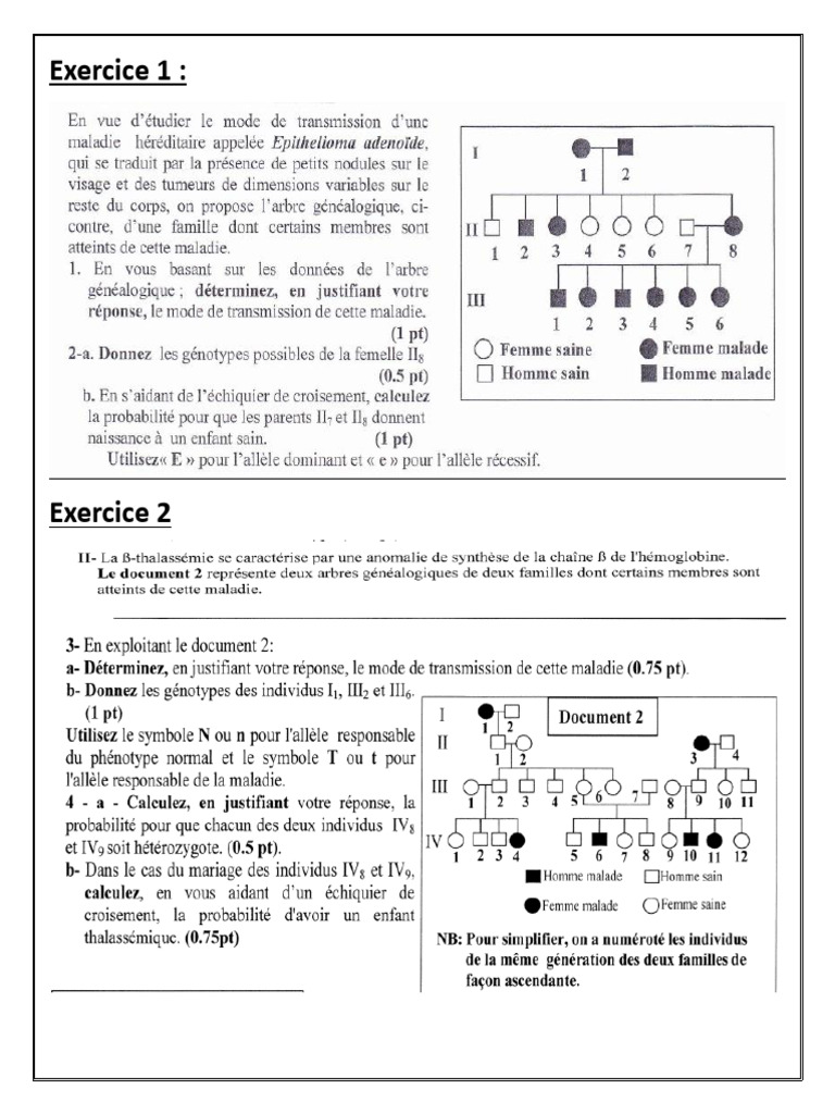 Exercice 1 sm-1 | PDF