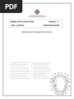 Nomenclatura Dentaria - El Código Internacional (FDI) | PDF | Diente ...