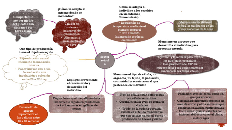 Tarea - 1 Mapa Conceptual | PDF | Avicultura | Aves