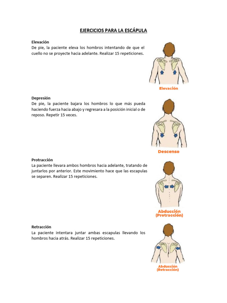 Ejercicios para La Escápula | PDF