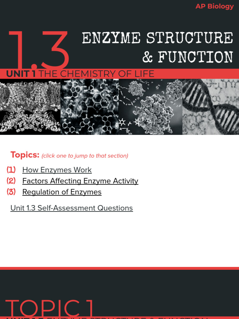 AP Bio Unit 1.3 Enzyme Structure and Function 2223 | PDF | Enzyme | Enzyme Inhibitor