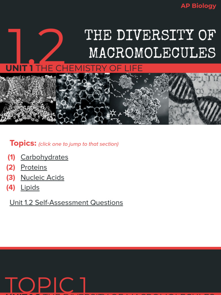 AP Bio Unit 1.2 The Diversity of Macromolecules23 | PDF | Nucleotides ...