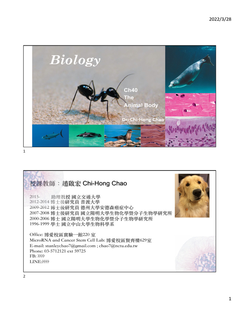 Animal Body Structure and Function Overview | PDF | Connective Tissue ...