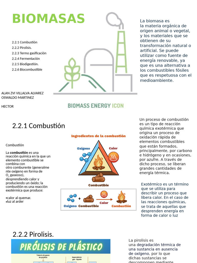 BIOMASAS | PDF | Combustión | Pirólisis