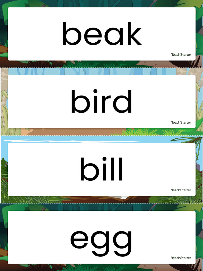 Bird Word Wall Vocabulary Printable PDF | PDF
