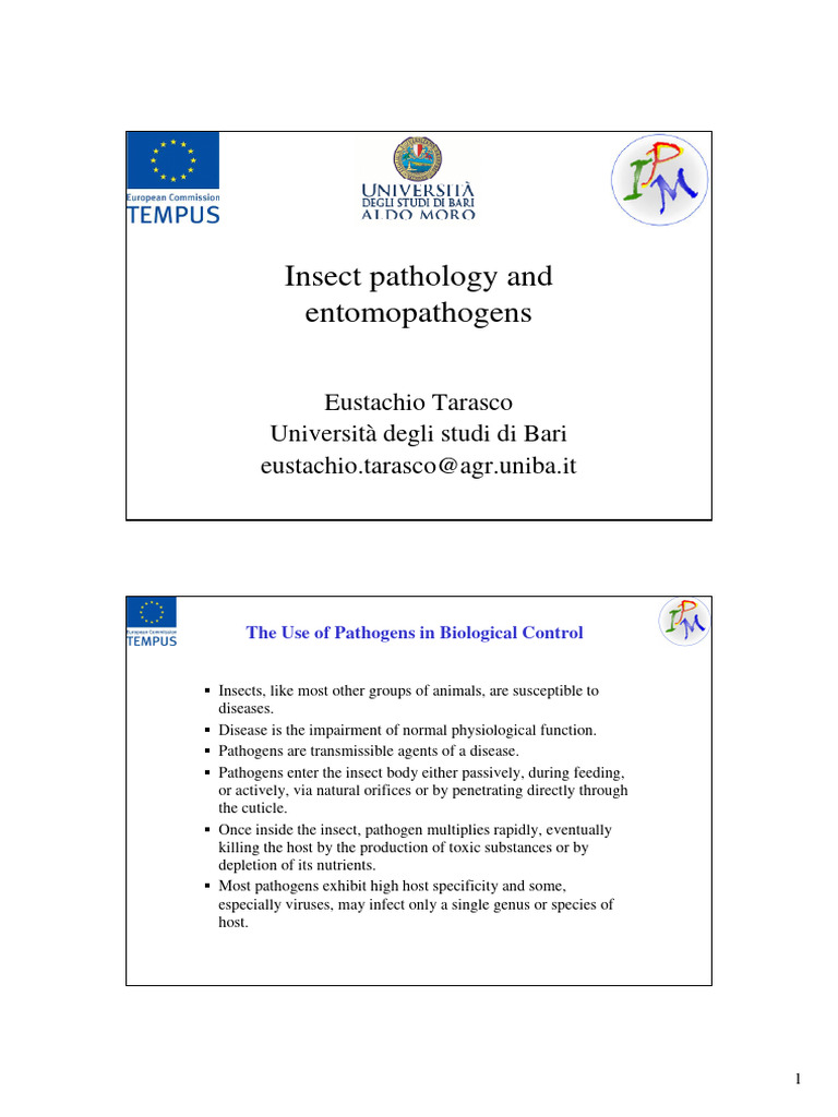 Insect Pathology and Entomopathogens | PDF | Fungus | Bacillus