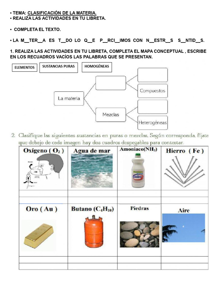 Clasificación de la Materia y Actividades | PDF
