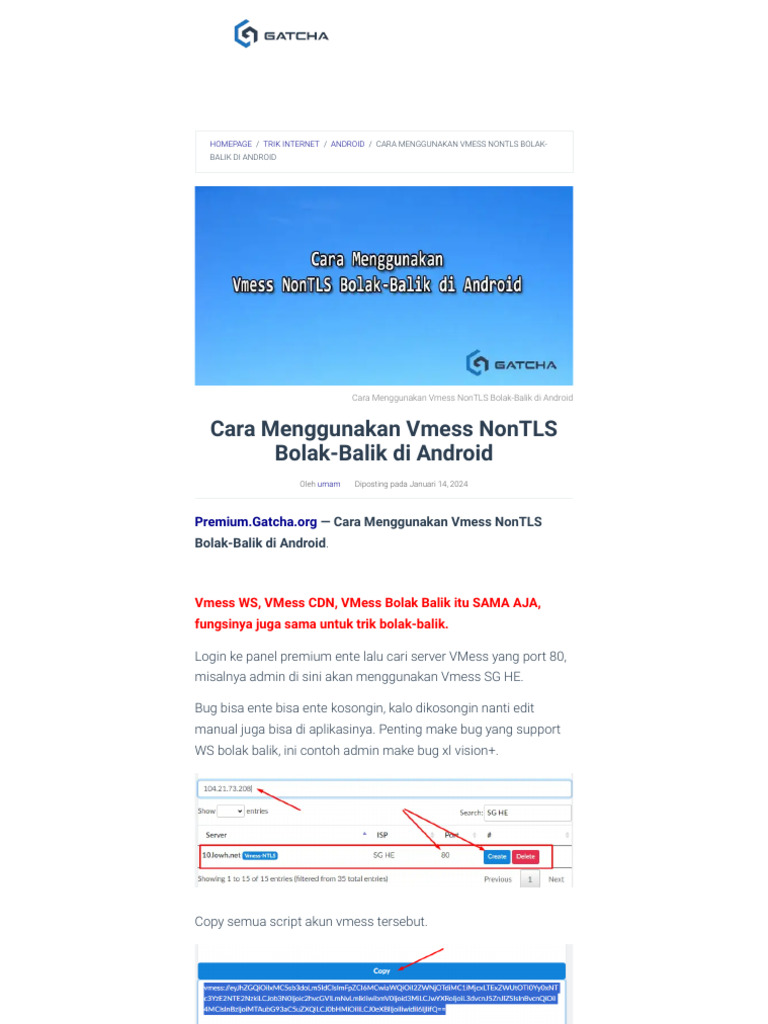 Cara Menggunakan Vmess NonTLS Bolak-Balik Di Android - Premium S | PDF