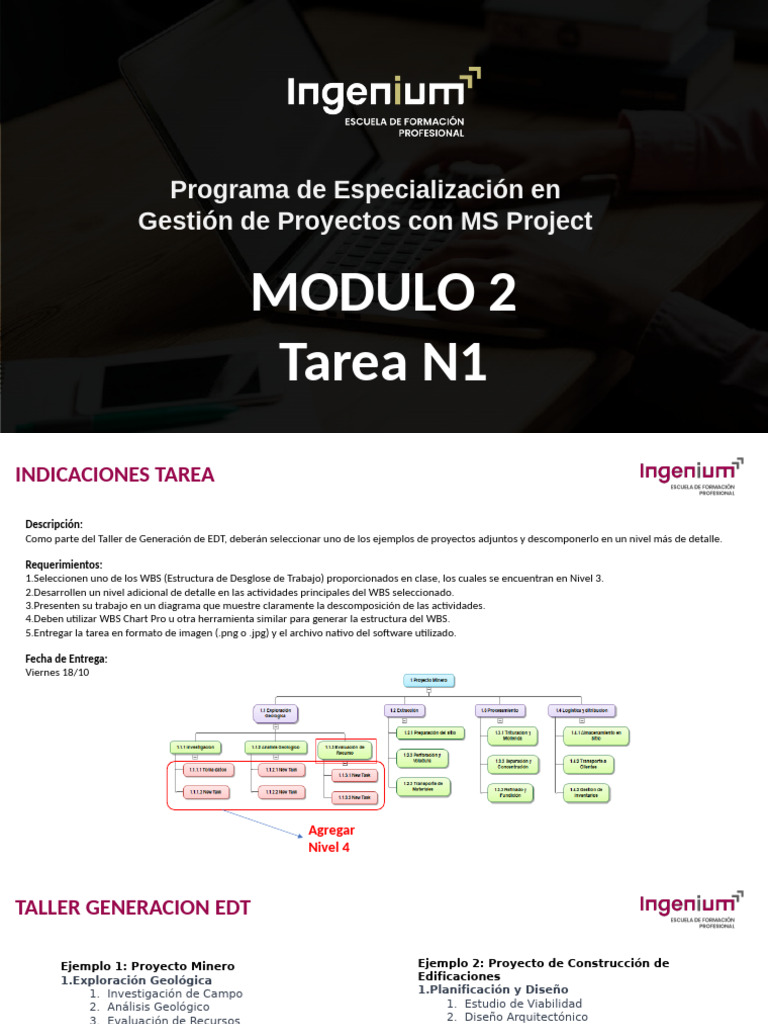 Tarea 1 - Modulo 2 | PDF | Marketing | Producto (Negocio)