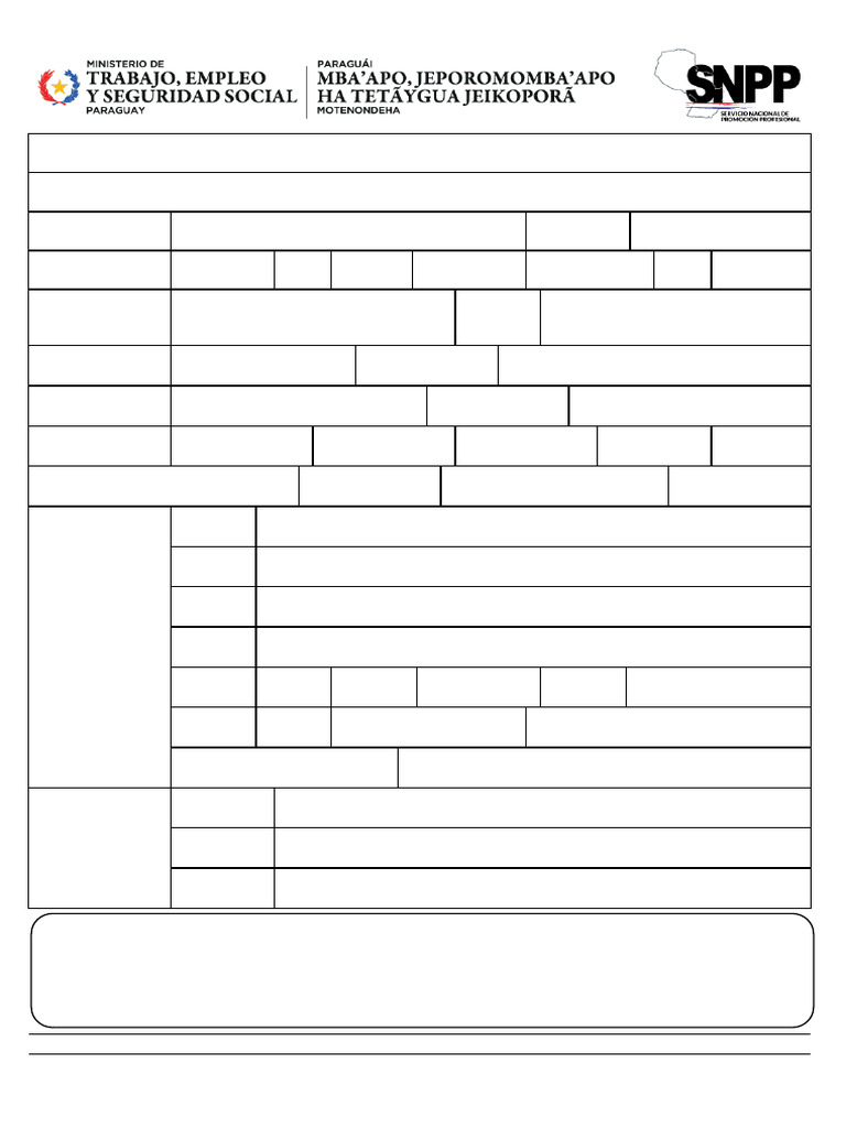 Ficha Instructor Nro 795 | PDF