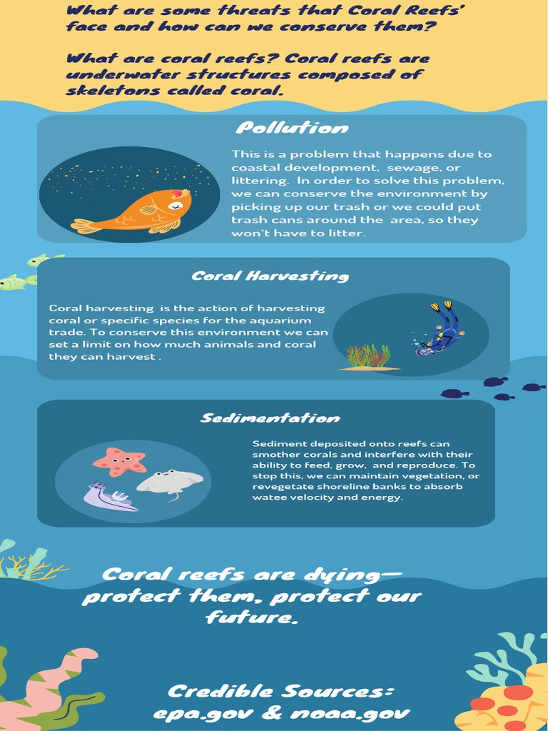 What Are Some Threats That Coral Reefs' Face and How Can We Conserve ...