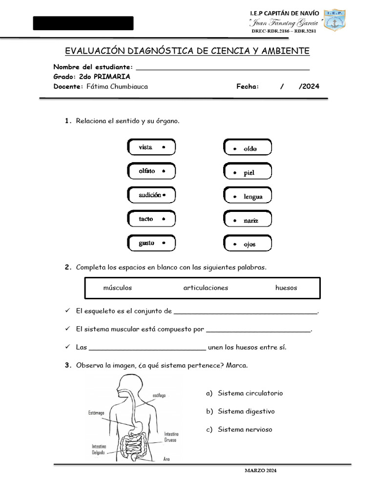 Evaluación Diagnóstica Ciencias 2do Primaria | PDF