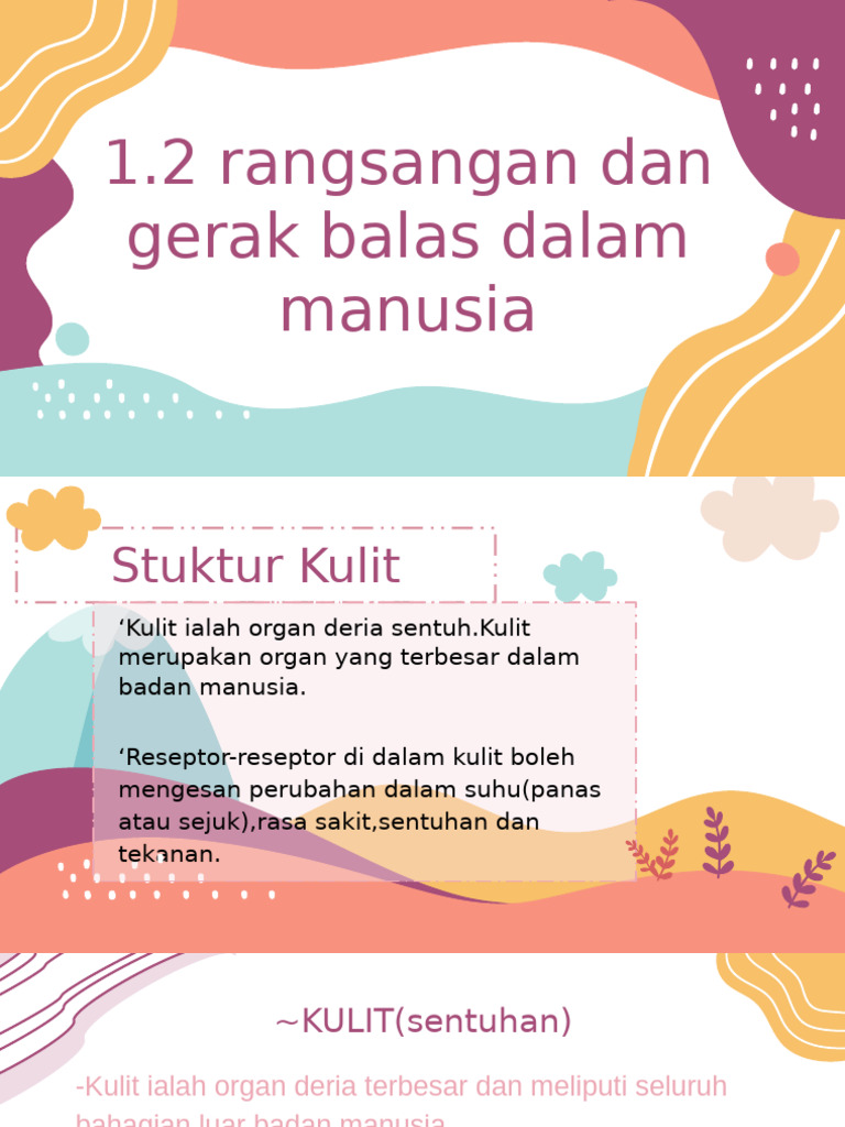 Kumpulan 3 - Kulit | PDF
