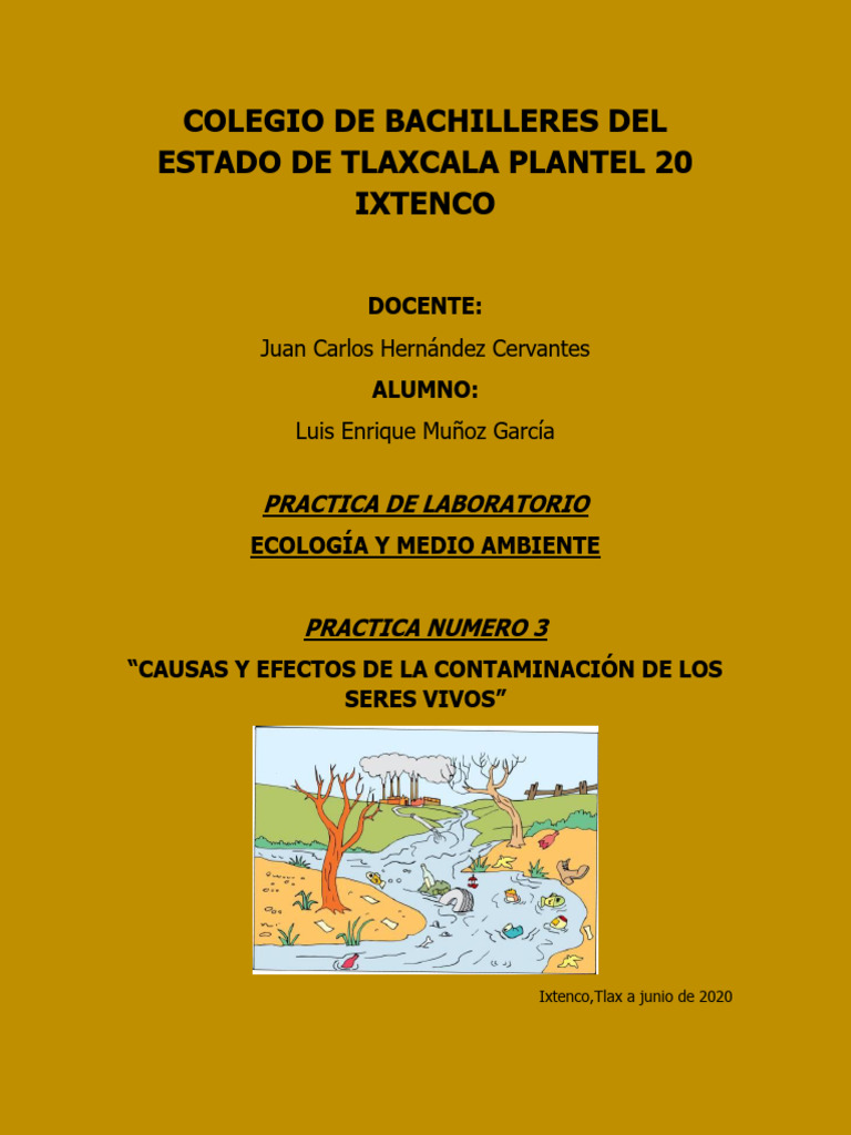 PRACTICA 3 ECOLOGÍA | PDF | Combustibles | Contaminación