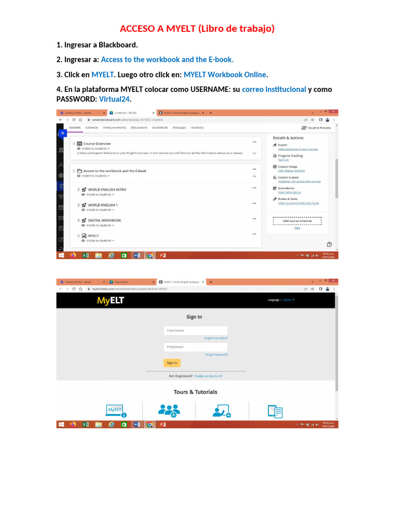 Acceso A Myelt | PDF