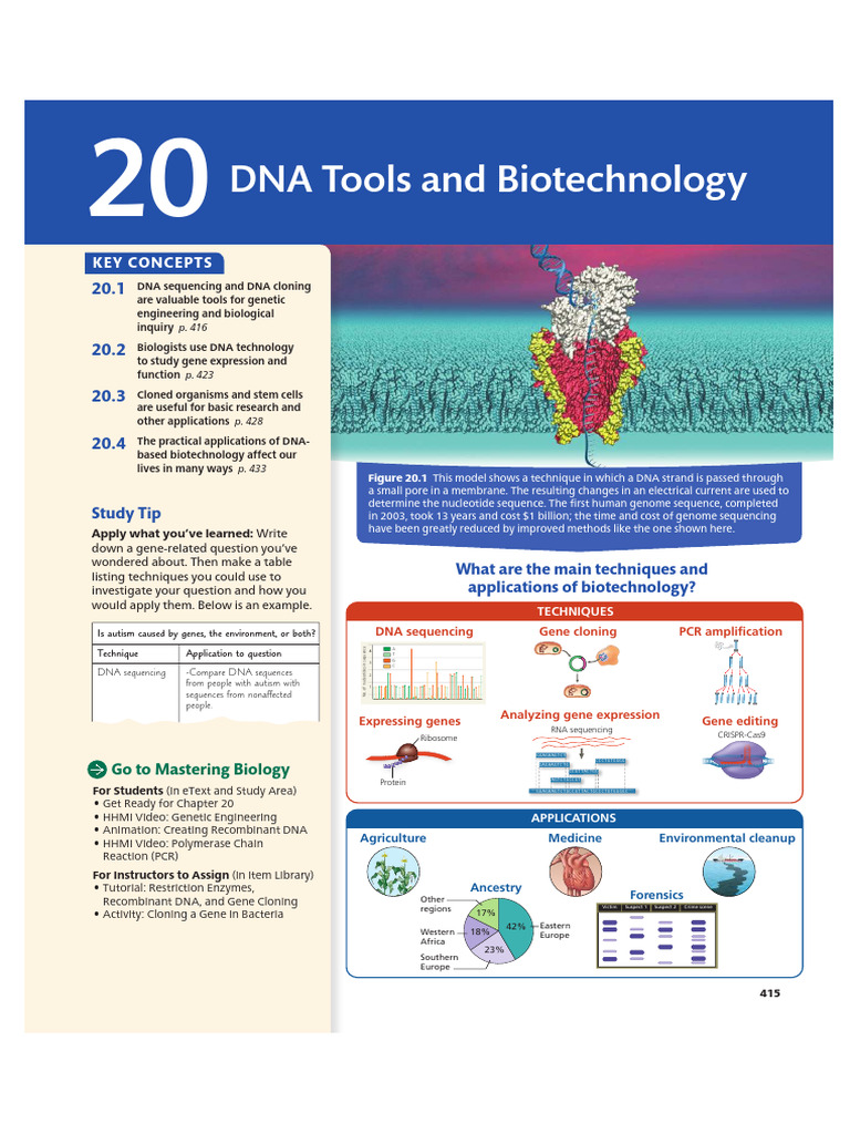 DNA Technology | PDF | Molecular Cloning | Dna Sequencing