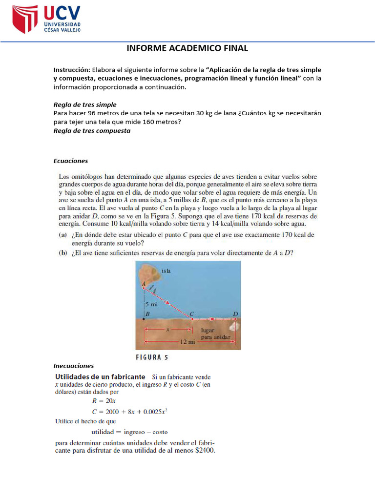 Informe Academico | PDF