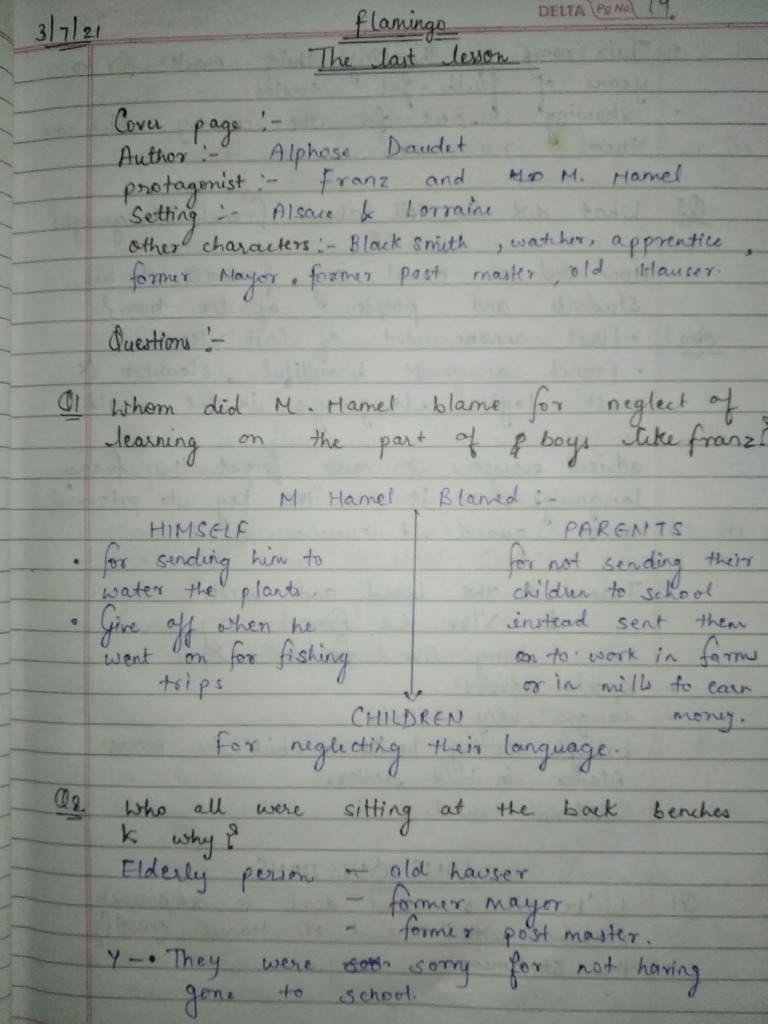 The Last Lesson | PDF