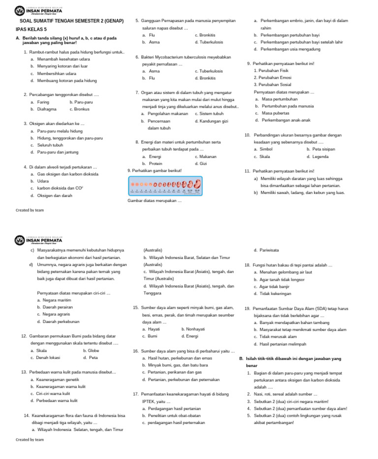 STS Ipas Kelas 5 | PDF