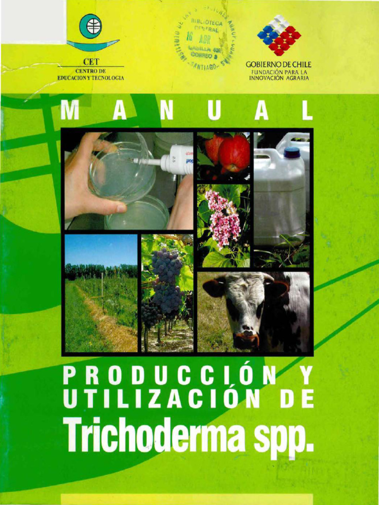 Manual Produccion y Utilizacion de Trichoderma | PDF