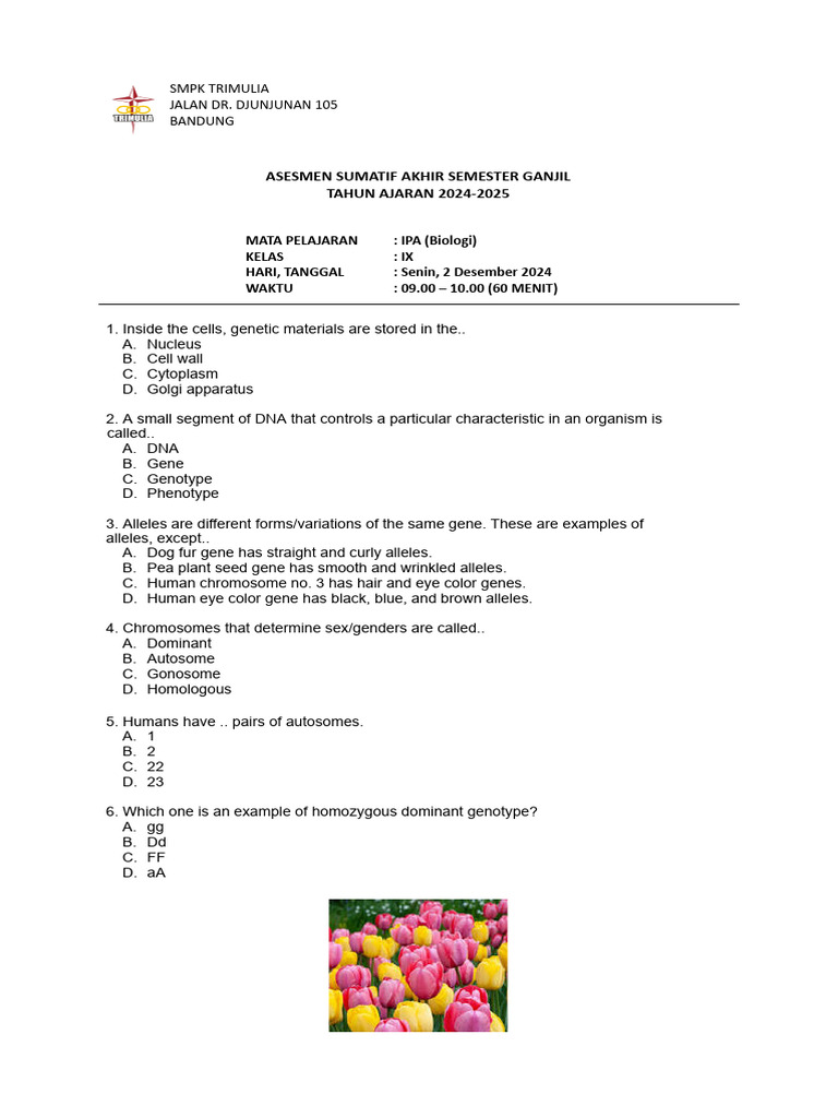Asas PDF Bio 9 s1 2425 | PDF | Dominance (Genetics) | Genotype