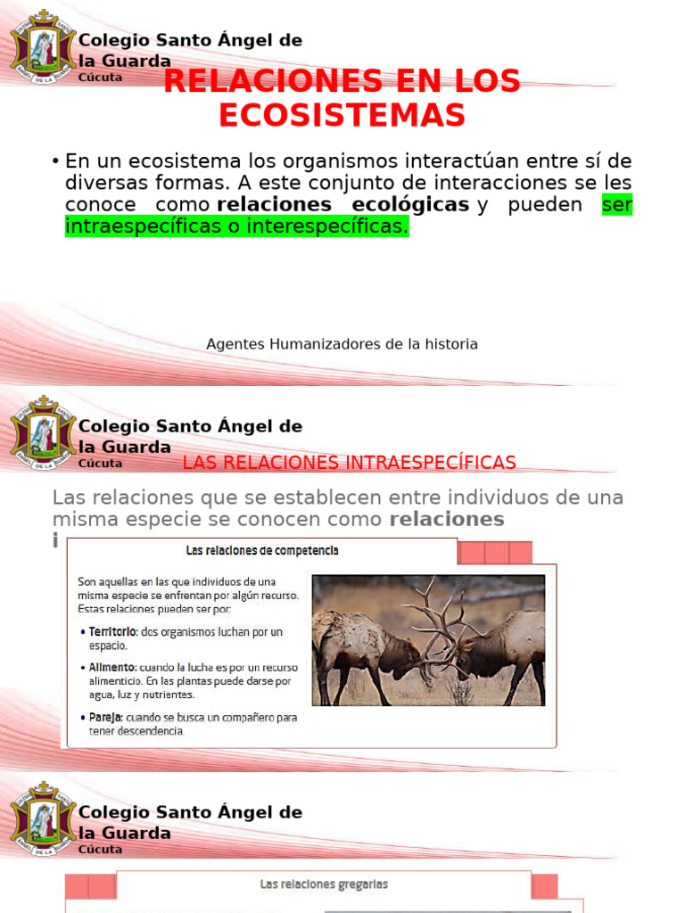 Relaciones Ecologicas | PDF
