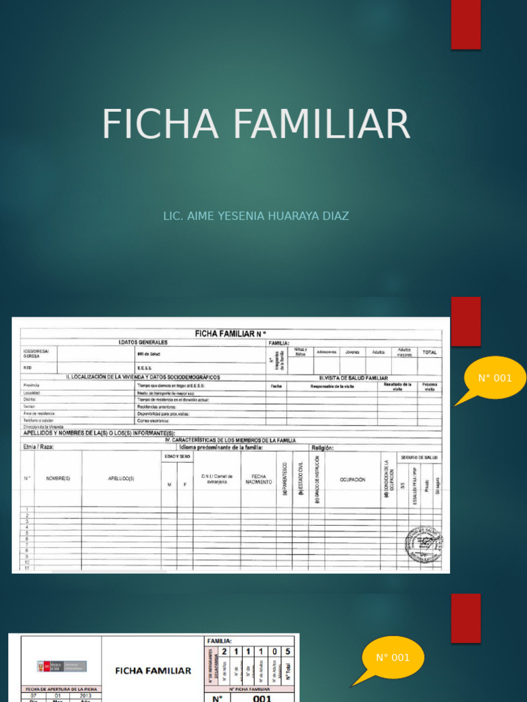 Ficha Familiar de Salud y Actividades | PDF