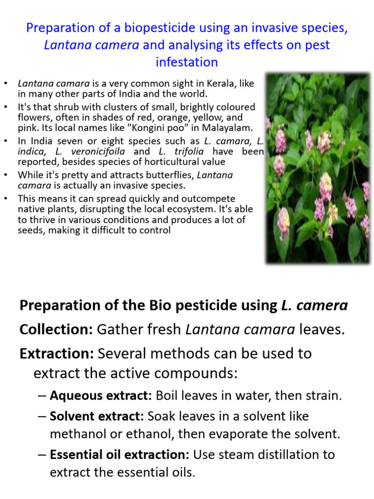 Biopesticide Preparation from Lantana Camara | PDF