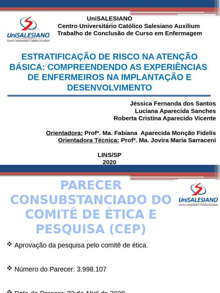 Slides Apresentação Do Tcc. Final | PDF | Enfermagem | Brasil