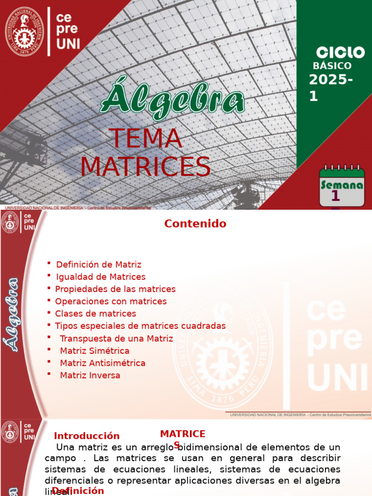 BÁSICO 2024-2 CLASE 17 MATRICES | PDF | Matriz (Matemáticas) | Teoría ...